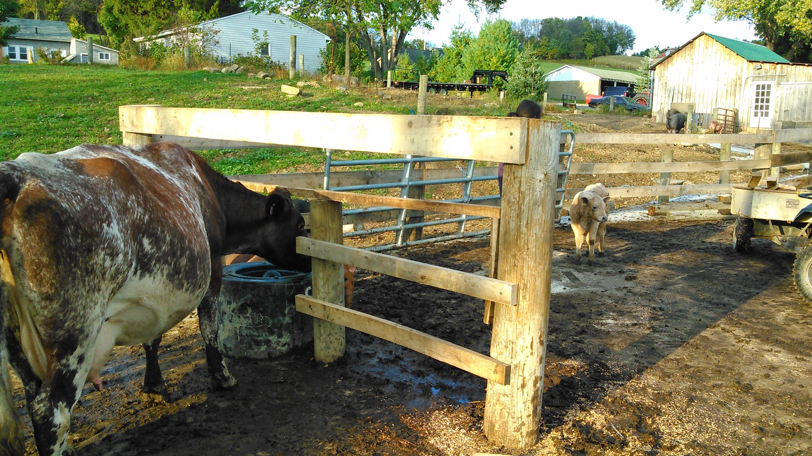 Conser Run Report: Corral is almost complete.